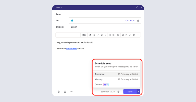 My Honest Six-Month Review of Proton Mail [2026] | Incogni